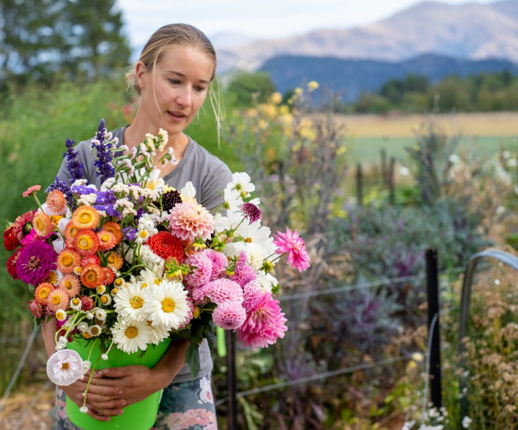 Bulbs | Alpine Blooms